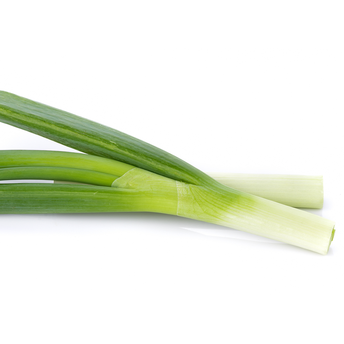 Leek - SP Fresh Intertrade