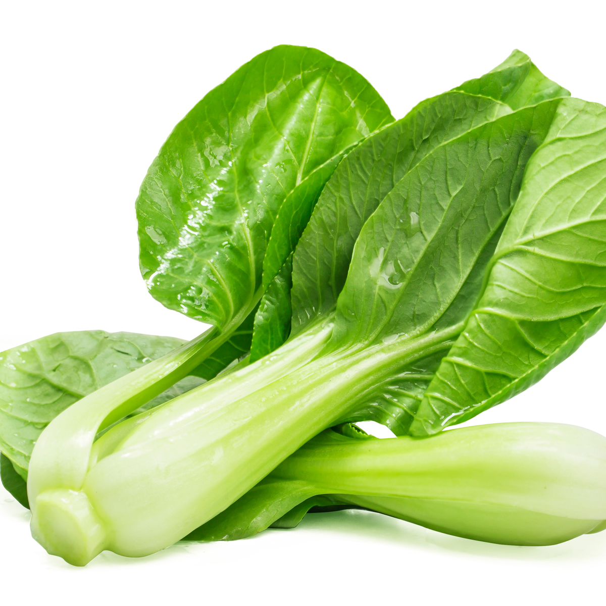 Pak choi - SP Fresh Intertrade