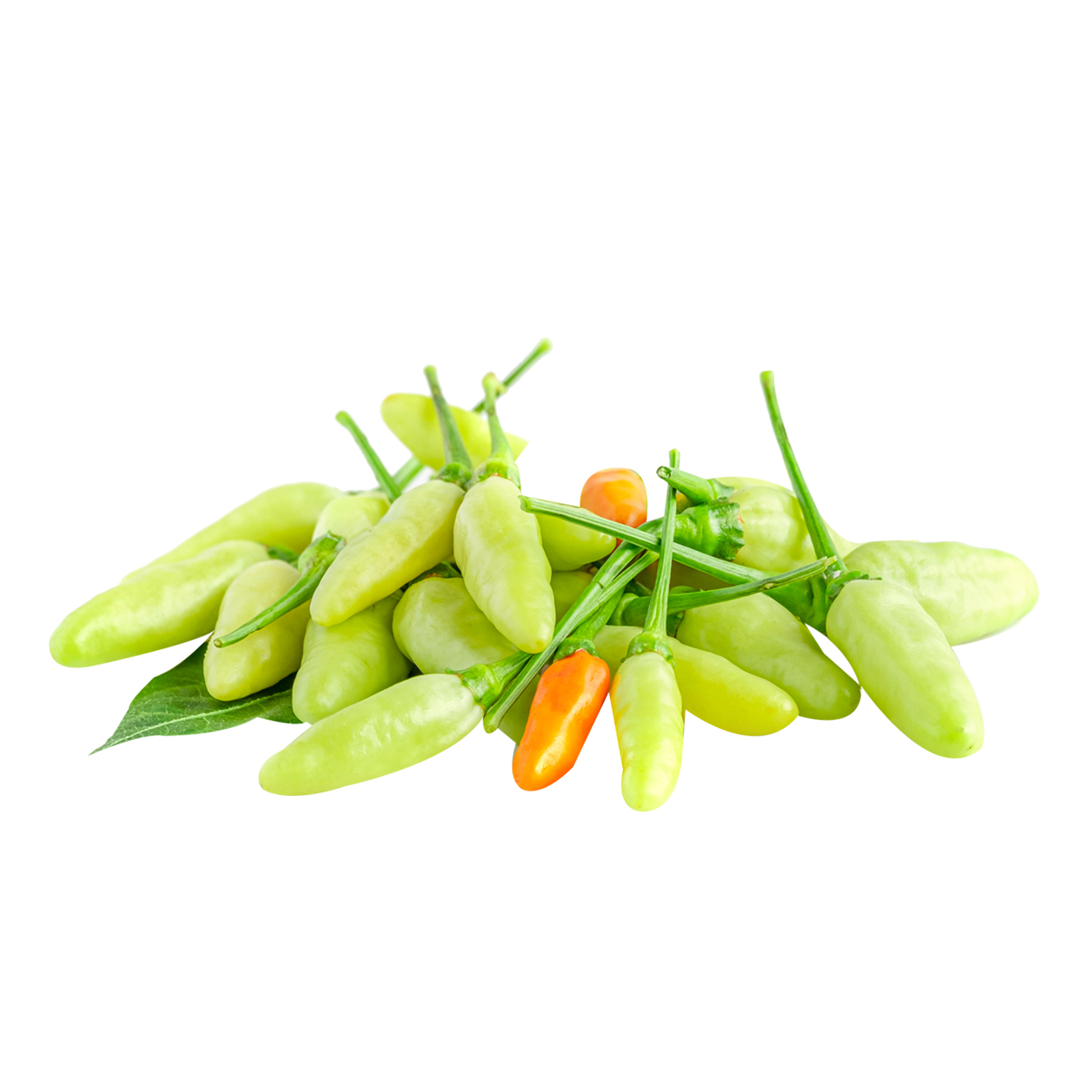 พริกกะเหรี่ยง - SP Fresh Intertrade