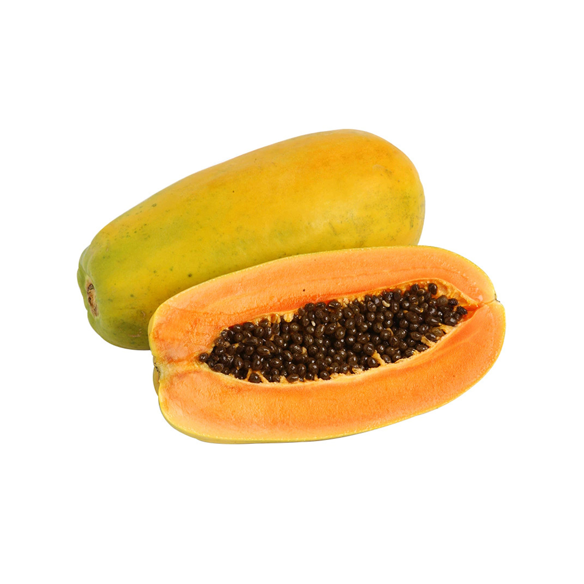Holland Papaya - SP Fresh Intertrade