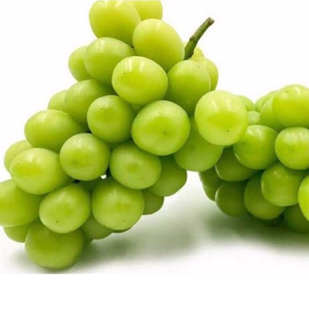 Korean Shine Muscat Grapes - SP Fresh Intertrade