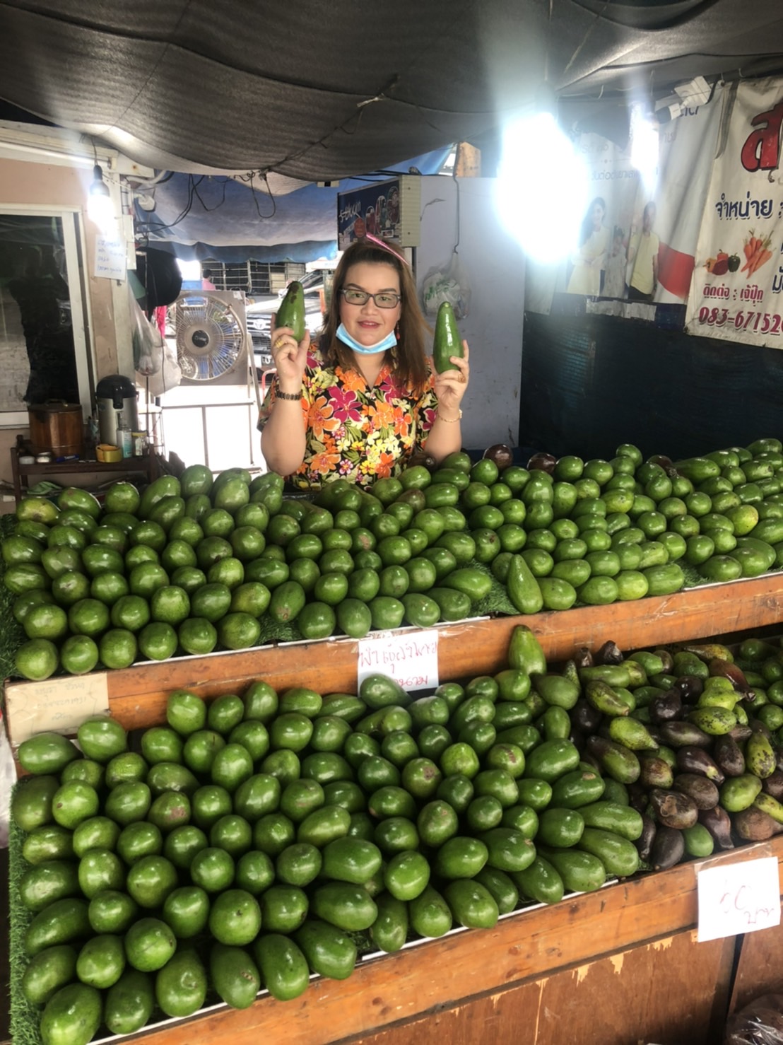 Avocado Stall - SP Fresh Intertrade