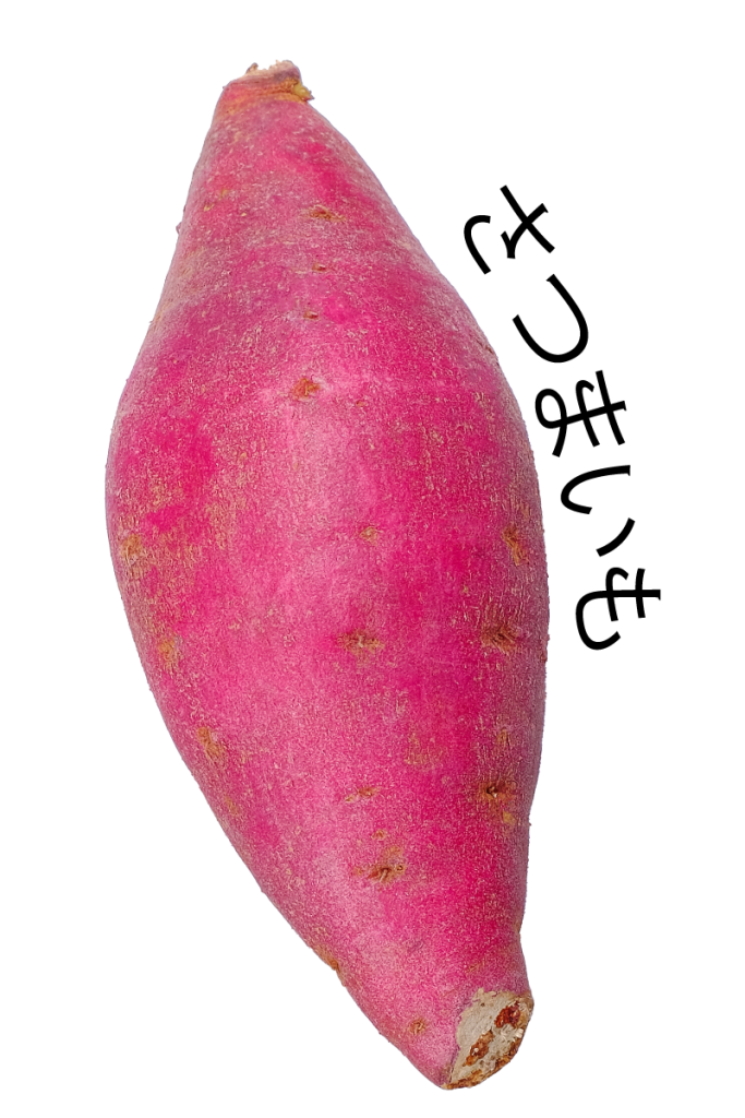 ผลิตภัณฑ์ใหม่ - SP Fresh Intertrade